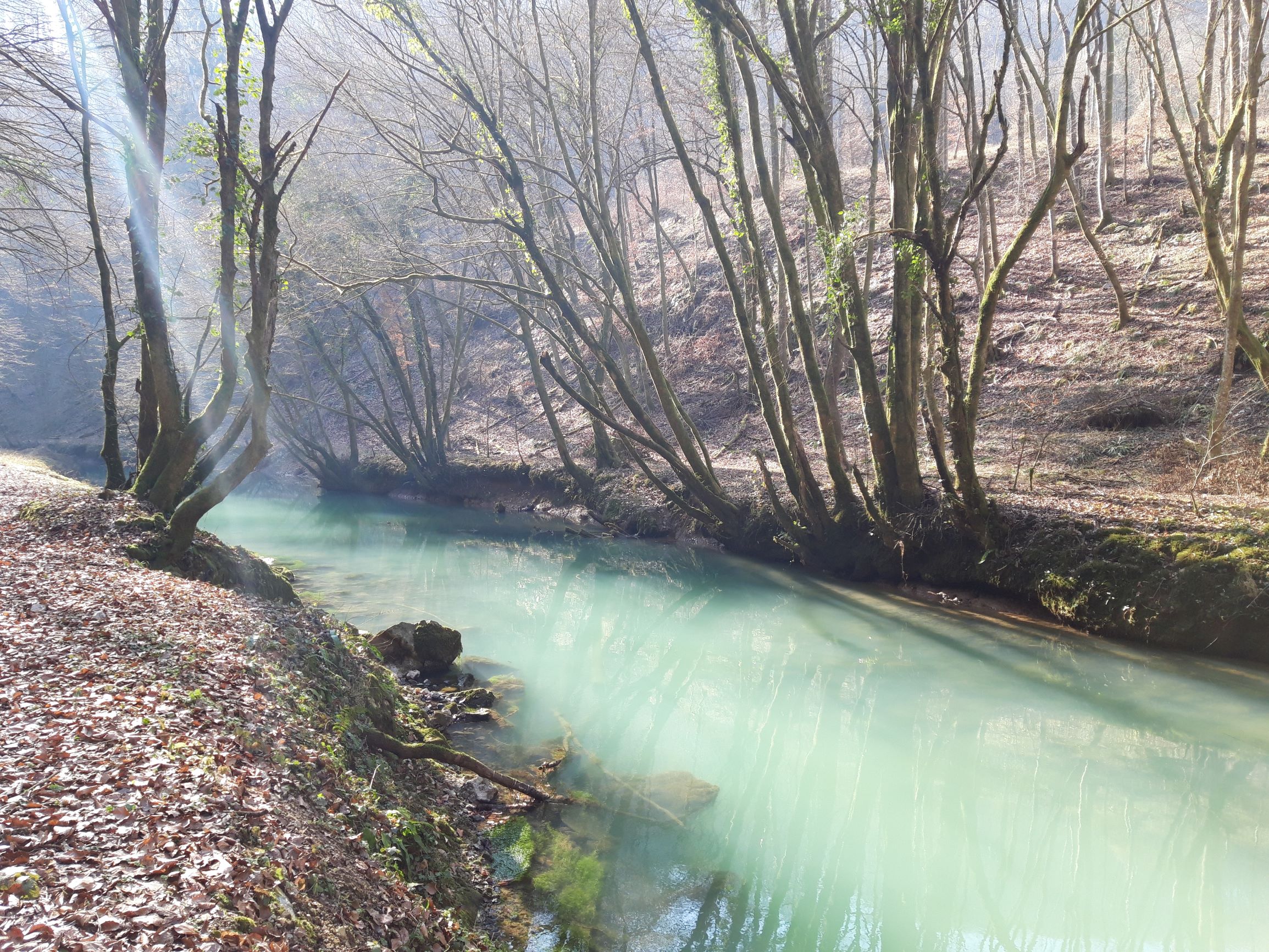 Predstavitev | Life Habitats